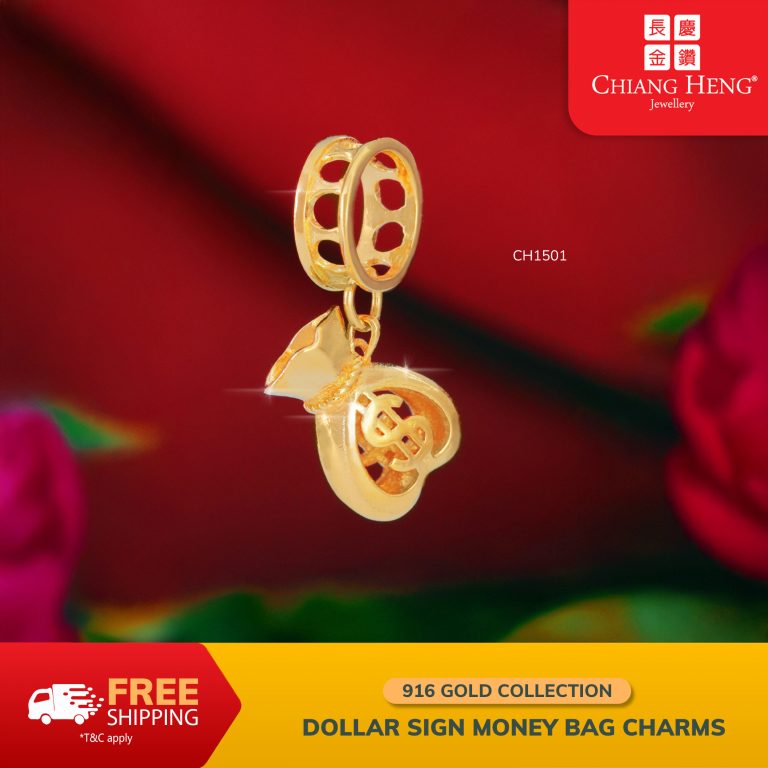 916 Gold Dollar Sign Money Bag Charms – Chiang Heng